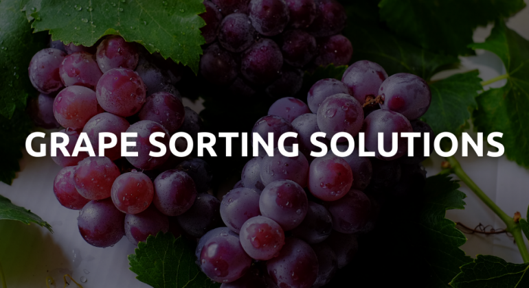 E-Book Grape sorting - optical sorters for grapes by Raytec Vision