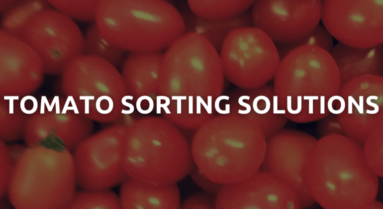 E-Book Tomato sorting - opical sorters produced by Raytec Vision