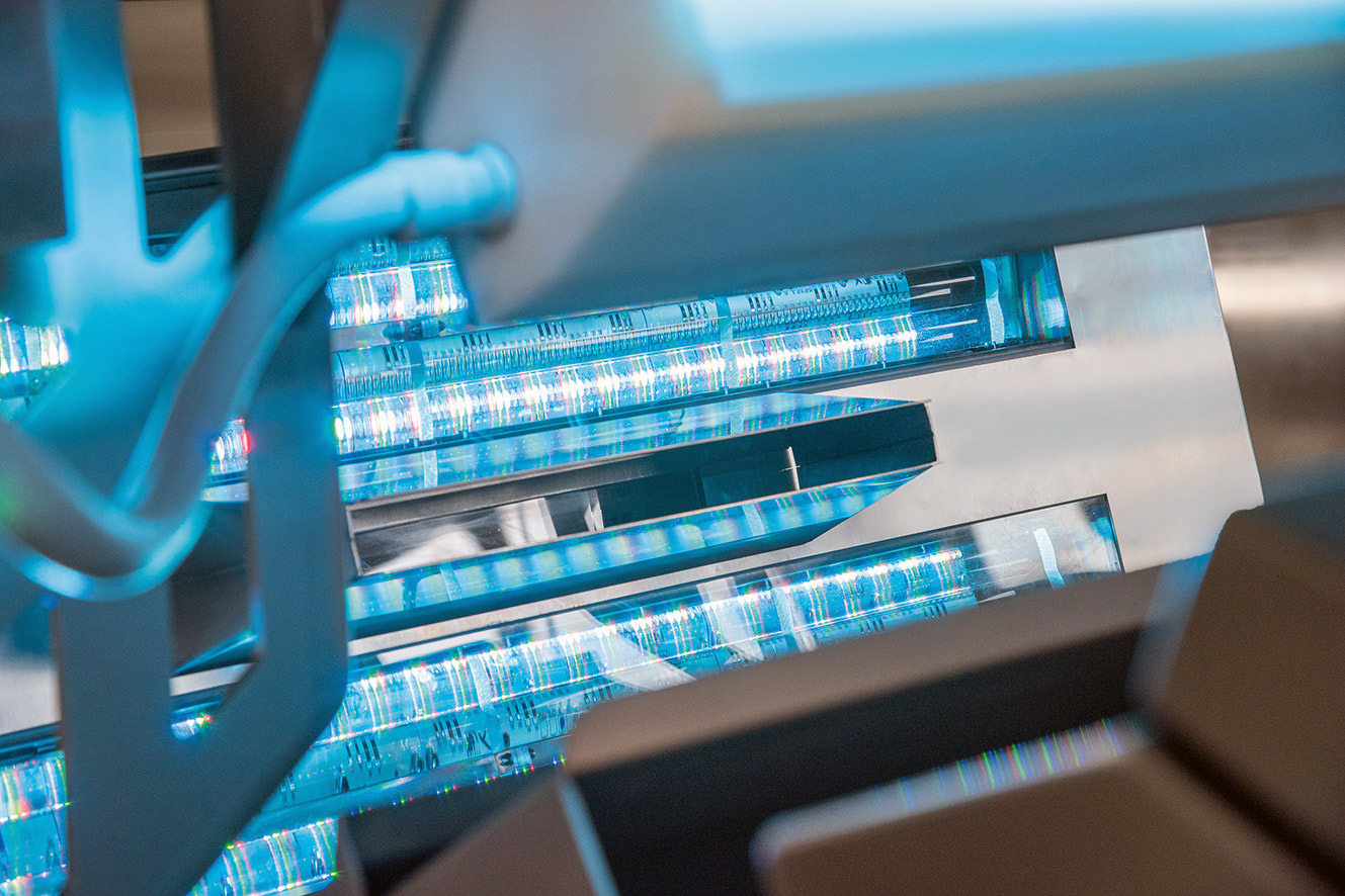 Dryce : the optical sorter for frozen and dried by Raytec Vision