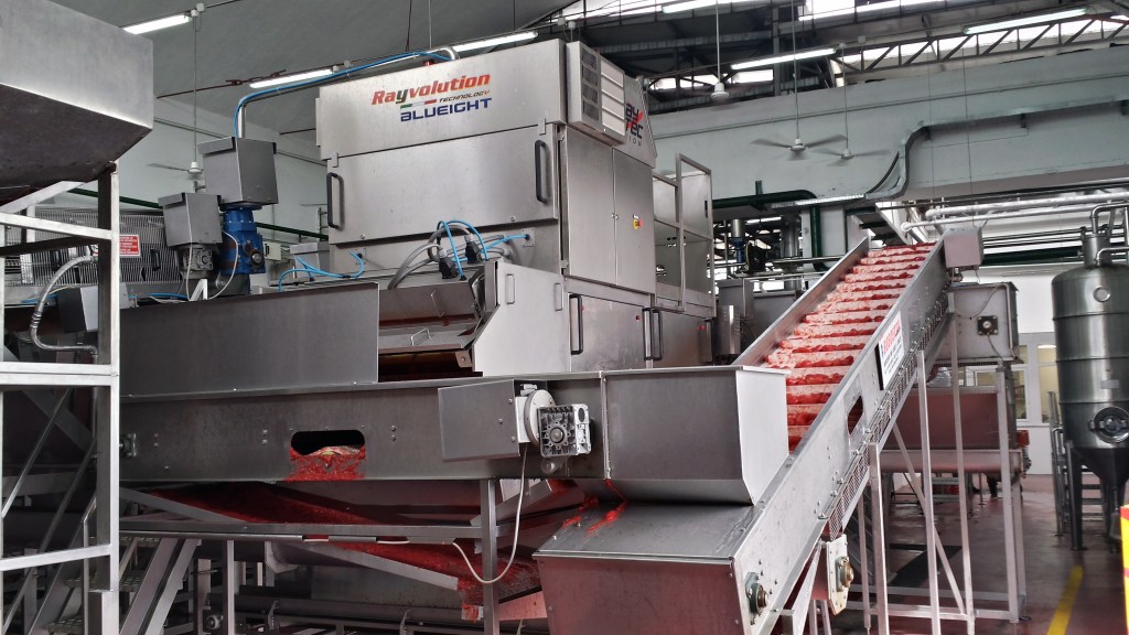 Tomato sorting solutions: discover the optical sorter Rayvolution