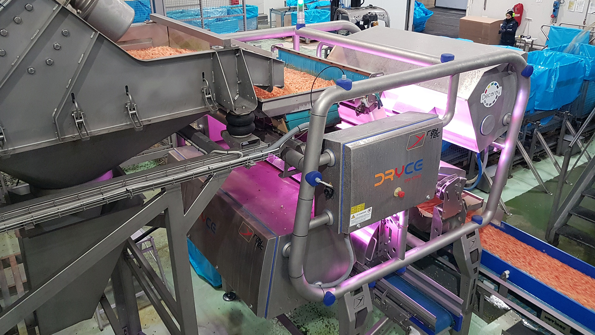 Dryce : the optical sorter for frozen and dried by Raytec Vision