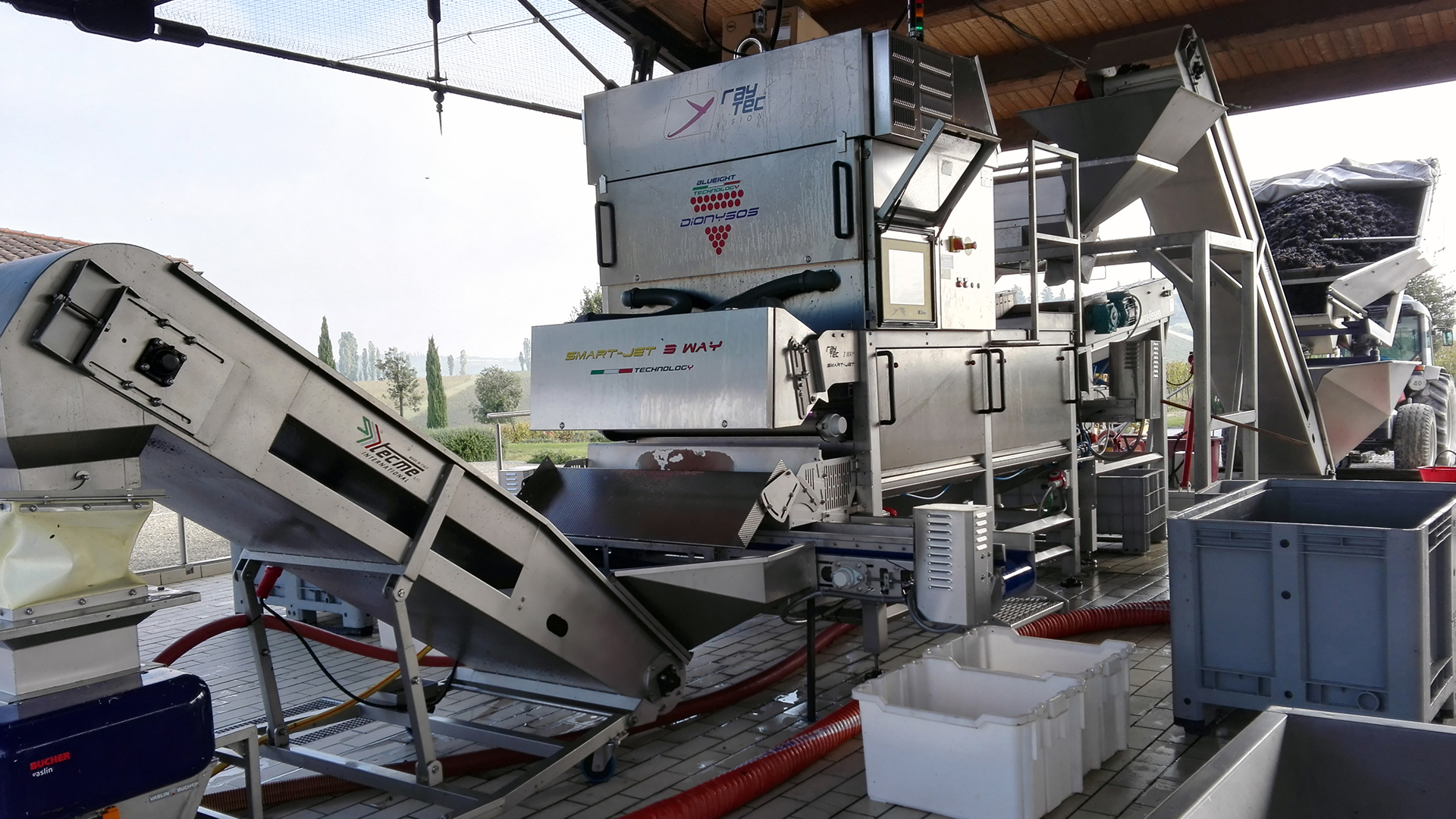 Grape sorting machine Dionysos by Raytec Vision : discover more!