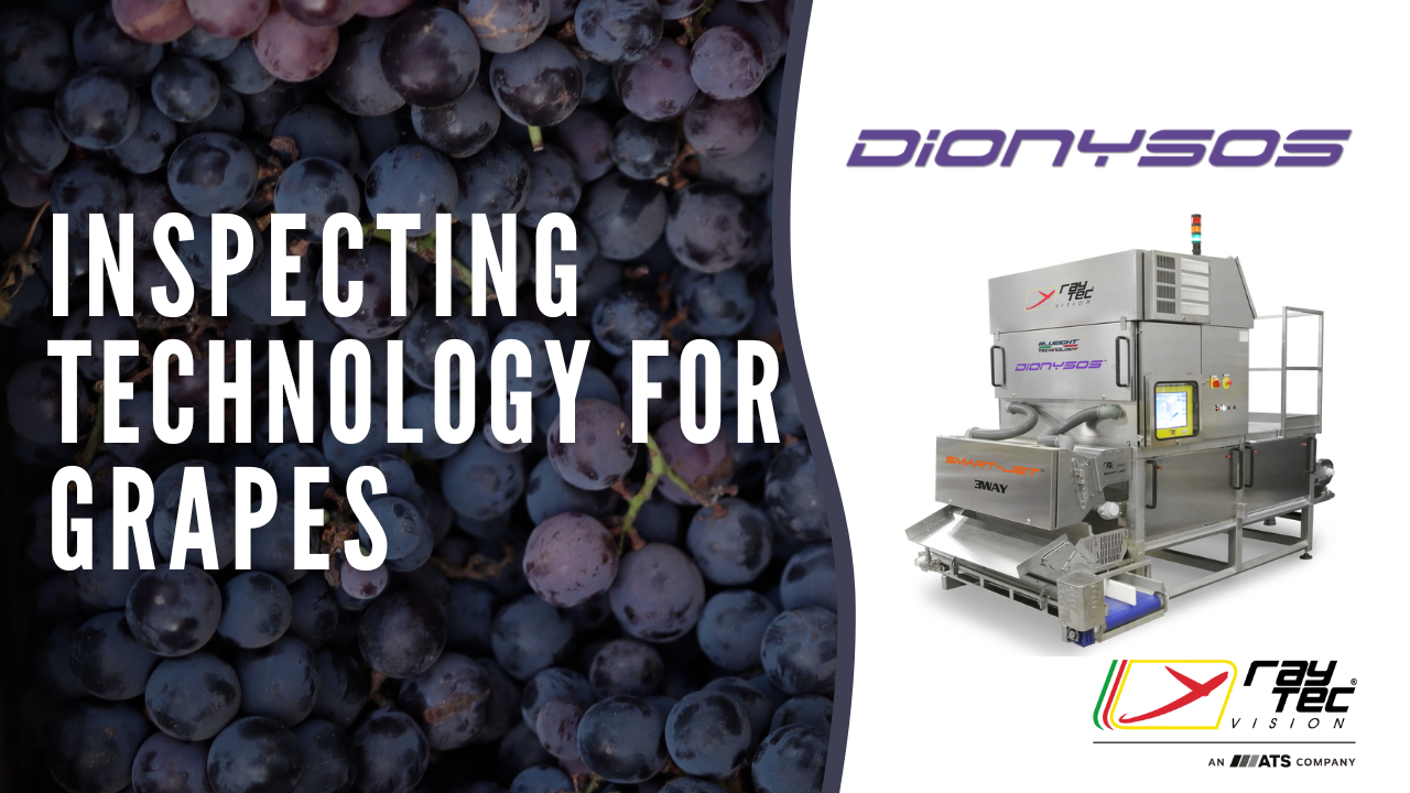 Grape sorting machine Dionysos by Raytec Vision : discover more!