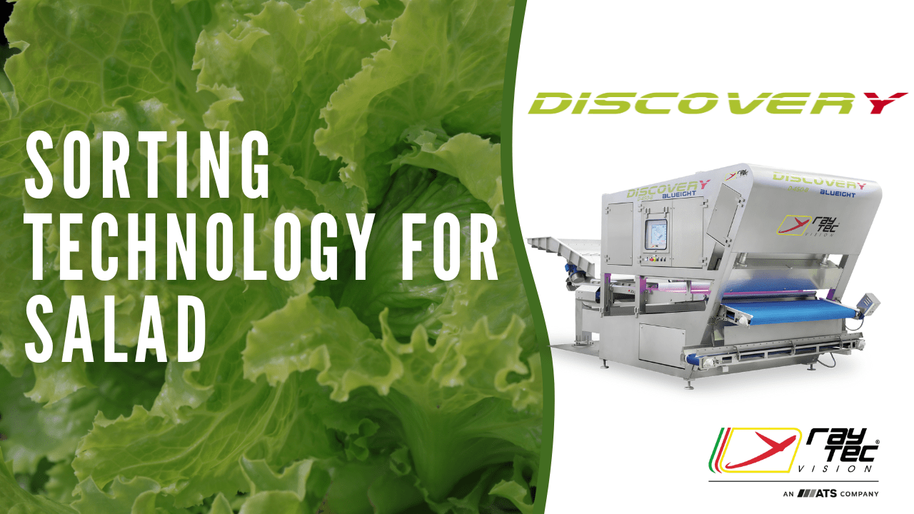 Discovery optical sorter for big capacities by Raytec Vision