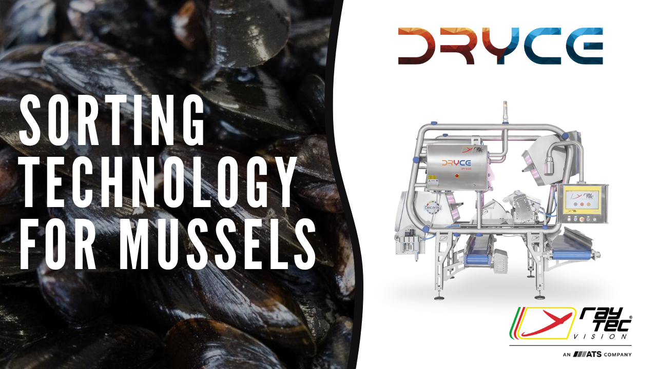 Dryce : the optical sorter for frozen and dried by Raytec Vision
