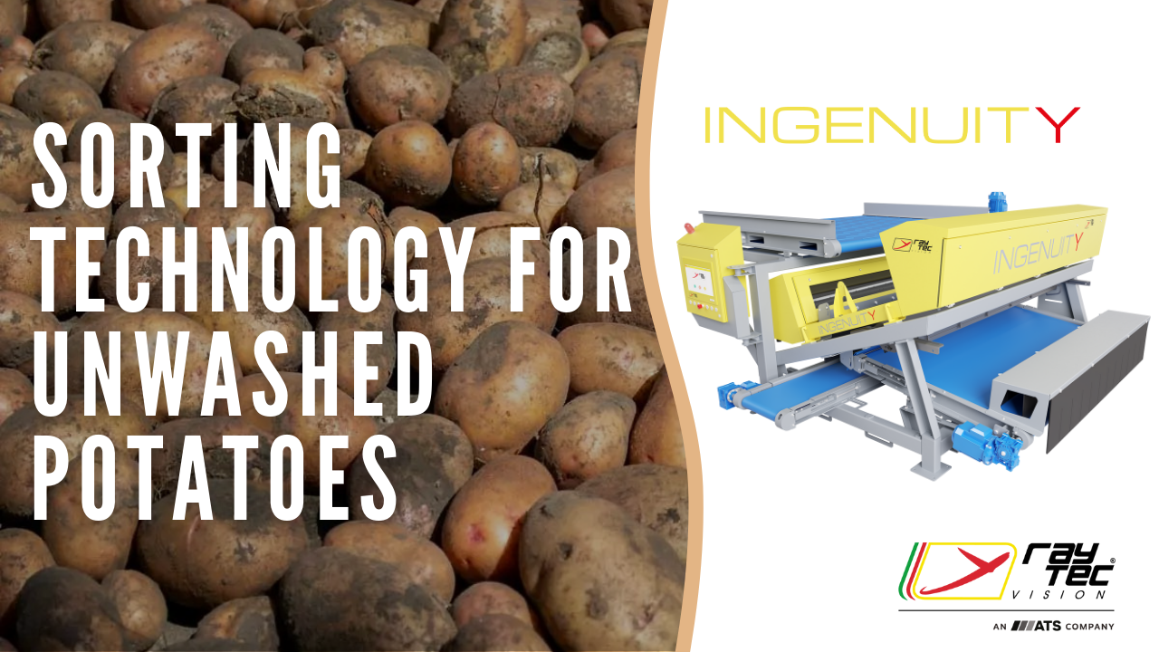 Ingenuity the double-view sorter for high capacities by Raytec Vision