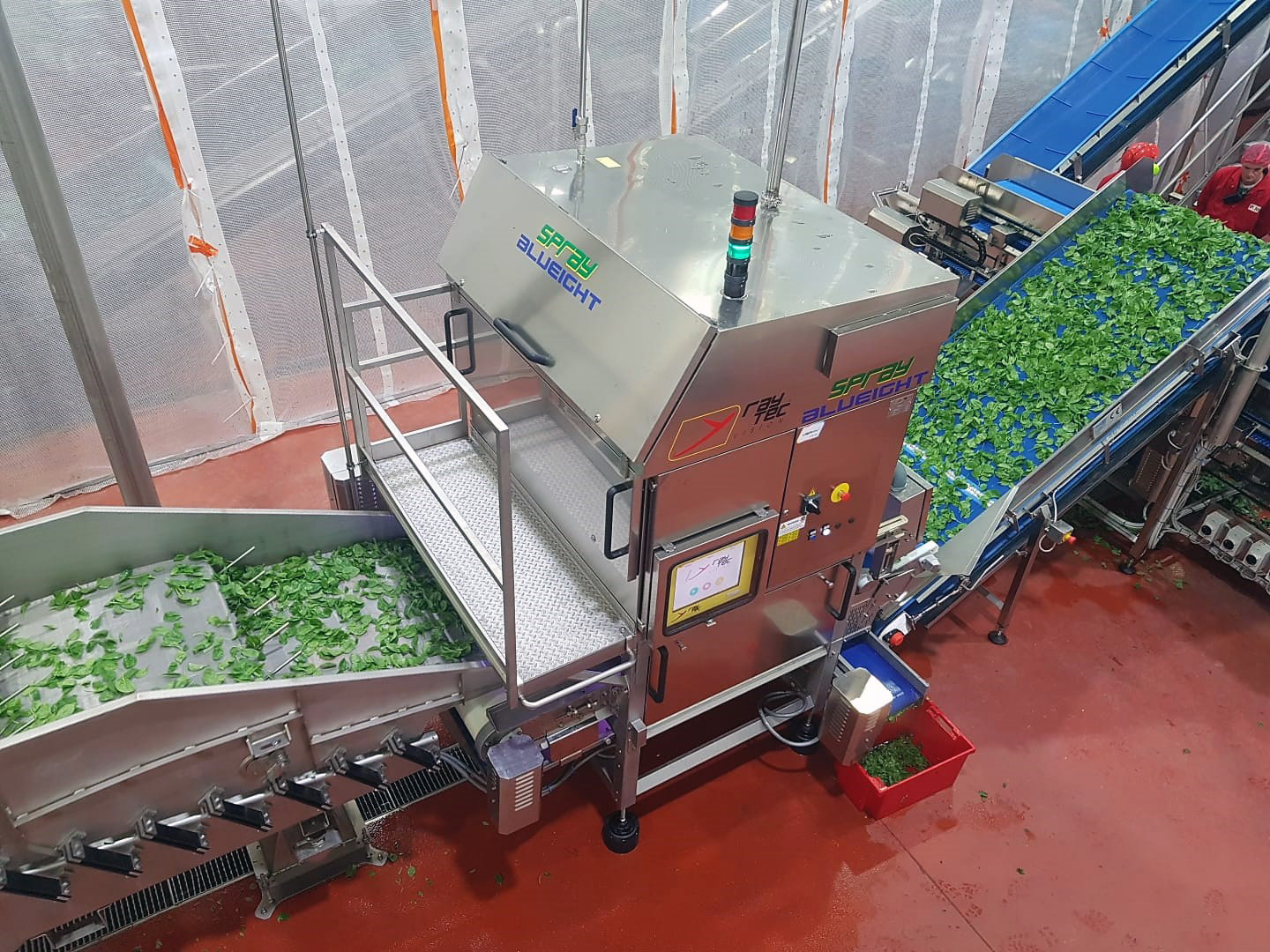 Selezionatrice ottica a LED pulsati per alimenti Spray di Raytec Vision