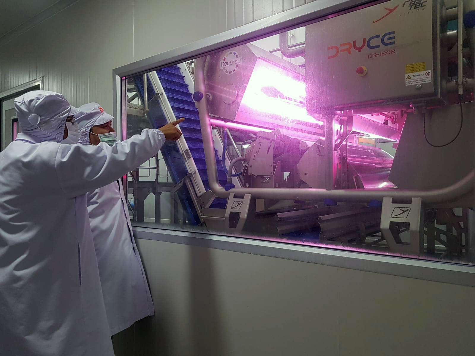 Dryce : the optical sorter for frozen and dried by Raytec Vision