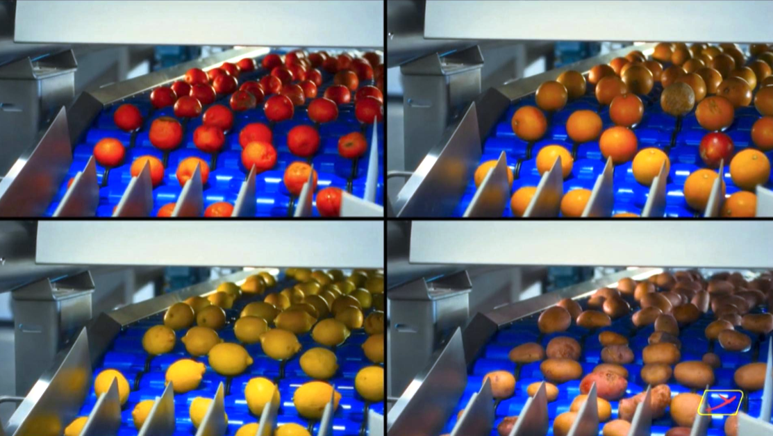 Raytec Vision's Opportunity: The Future of Optical Sorting Expands Beyond Tomatoes - Raytec Vision