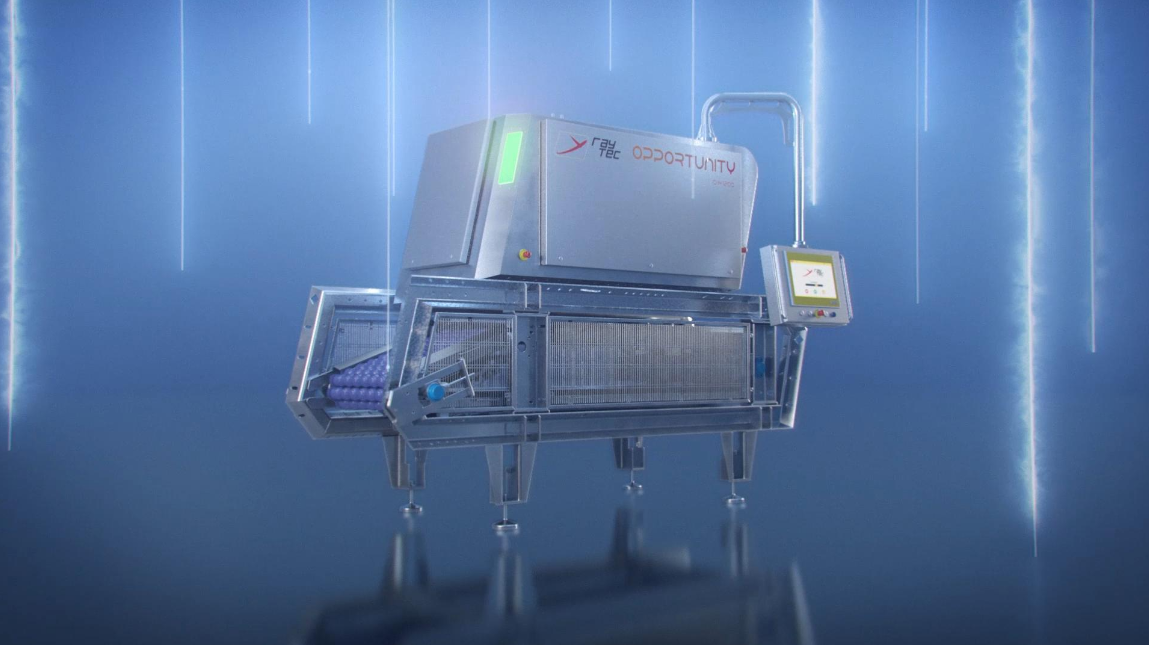Raytec Vision, sorting machines and x-ray machines for food safety
